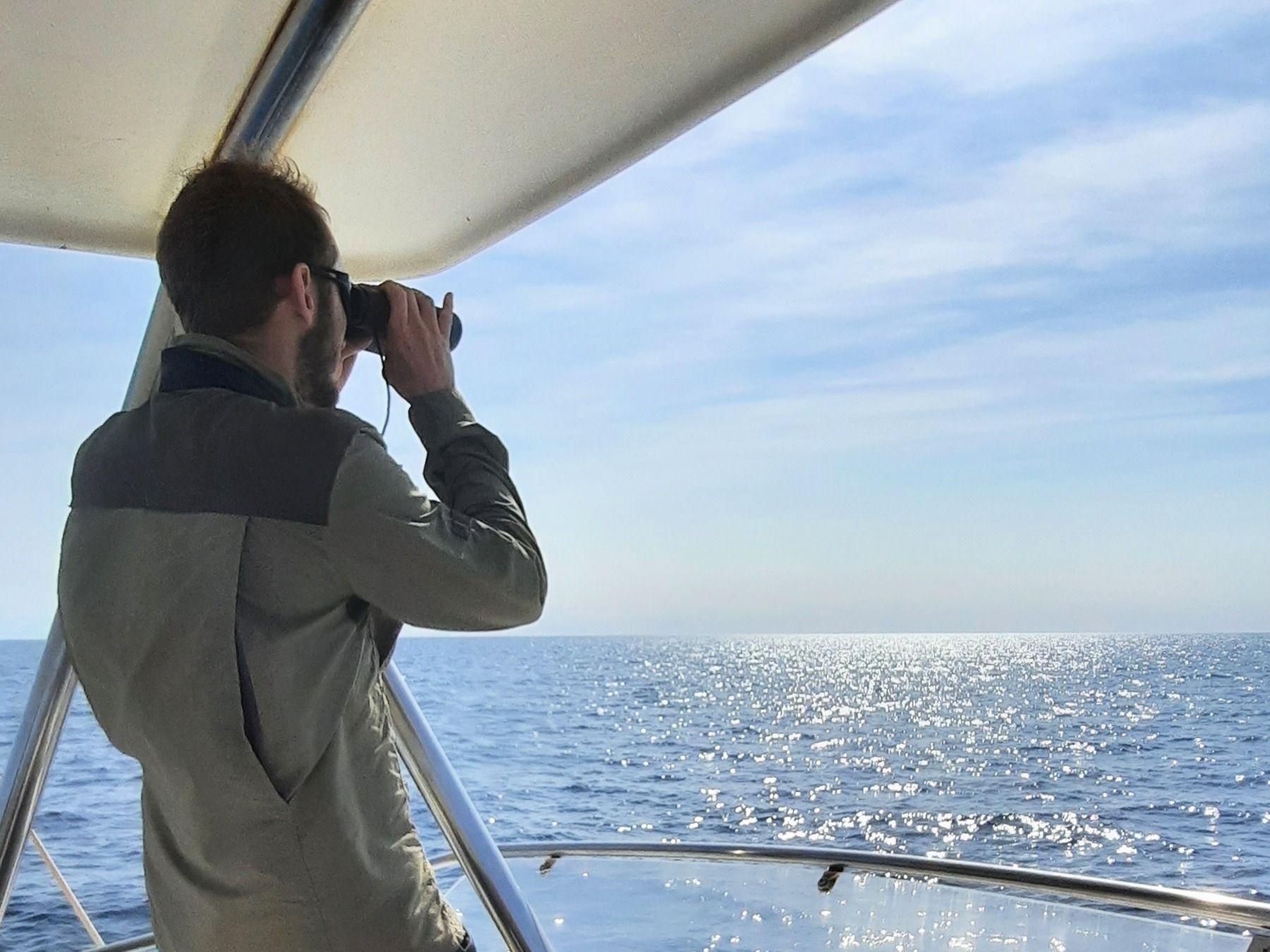 Un pingouin en Méditerranée, une rencontre rare et fascinante ! – Eolmed